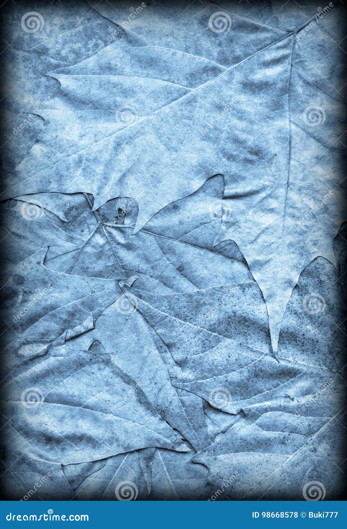 Blue Autumn Foliage Background Vignetted Grunge Texture Stock Photo ...