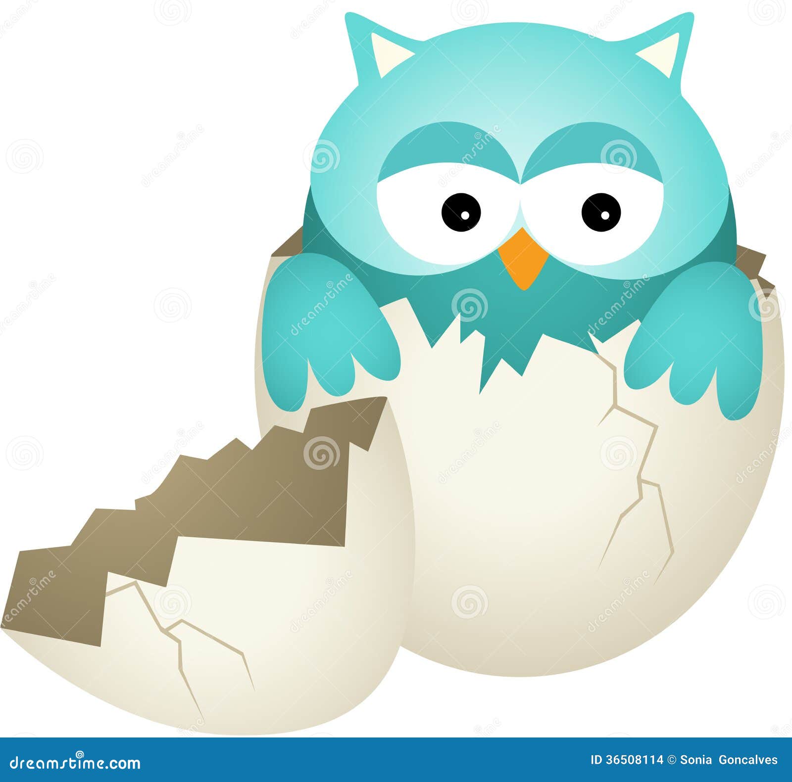 Clipart Gleoite Owl Gorm Owl Egg Stock Illustrations – 636 Owl Egg