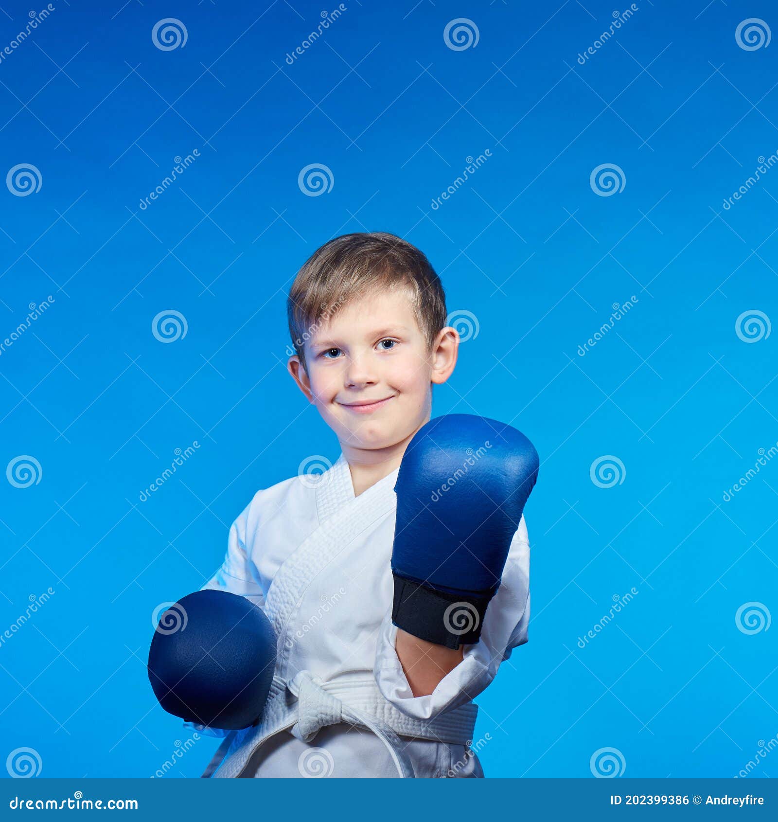 On a Blue Background, an Athlete in a Karate Stand with Blue Overlays ...