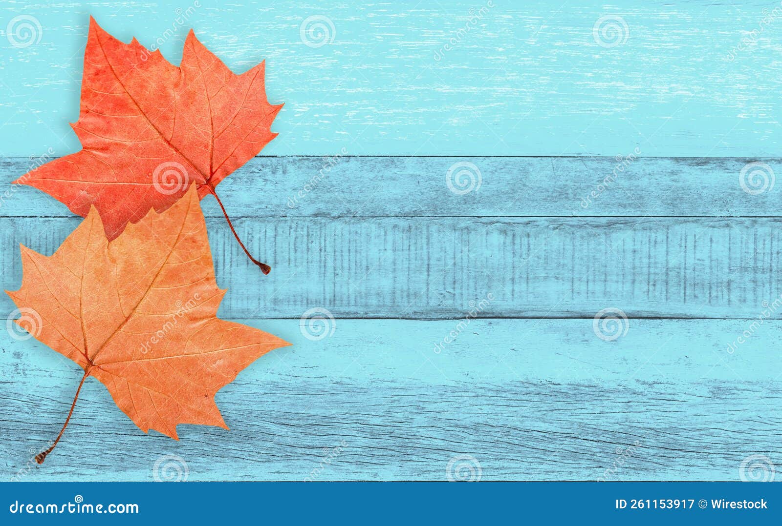 Blue Background with Autumn Leaves Stock Image - Image of abstract ...