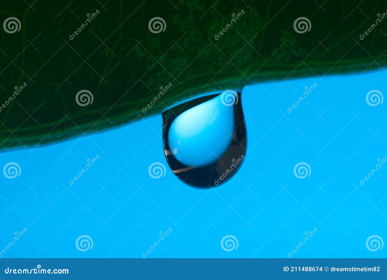 A Blue Background with a Beautiful Drop Stock Photo - Image of grass ...