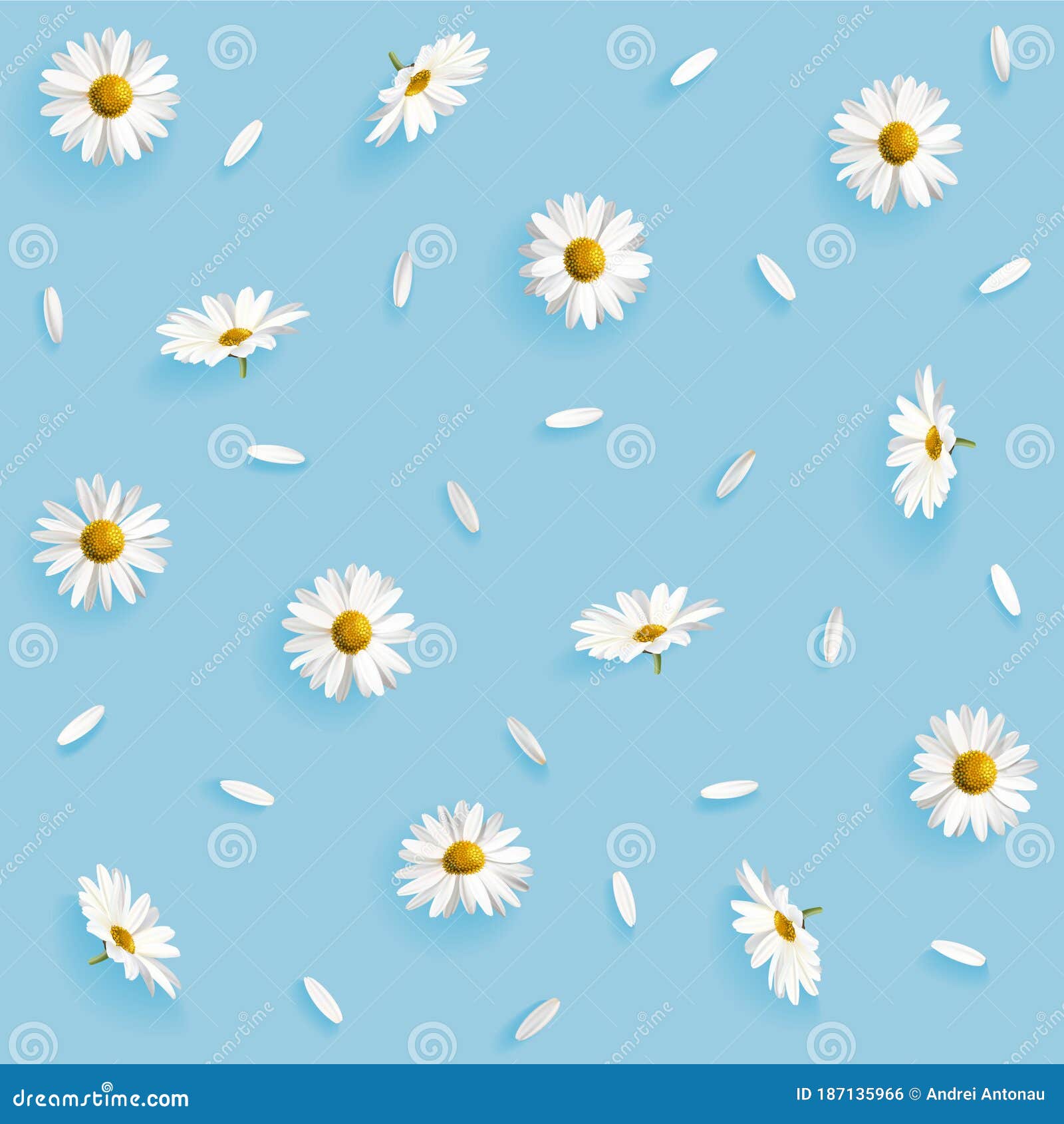 713_Blue Background Daisies Stock Vector - Illustration of 713blue ...