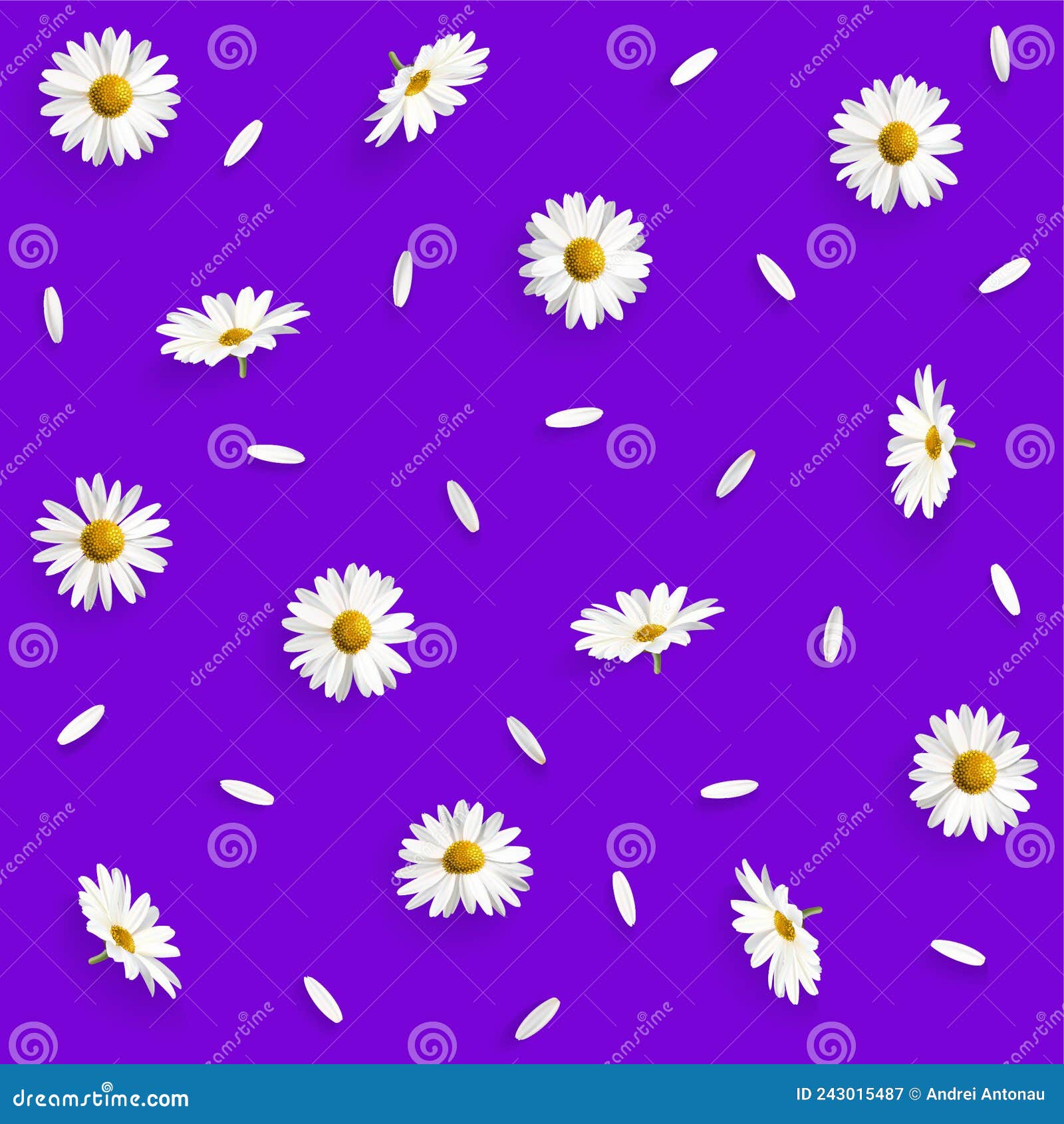 713_Seamless Pattern with Daisy Flowers on Purple Stock Vector ...