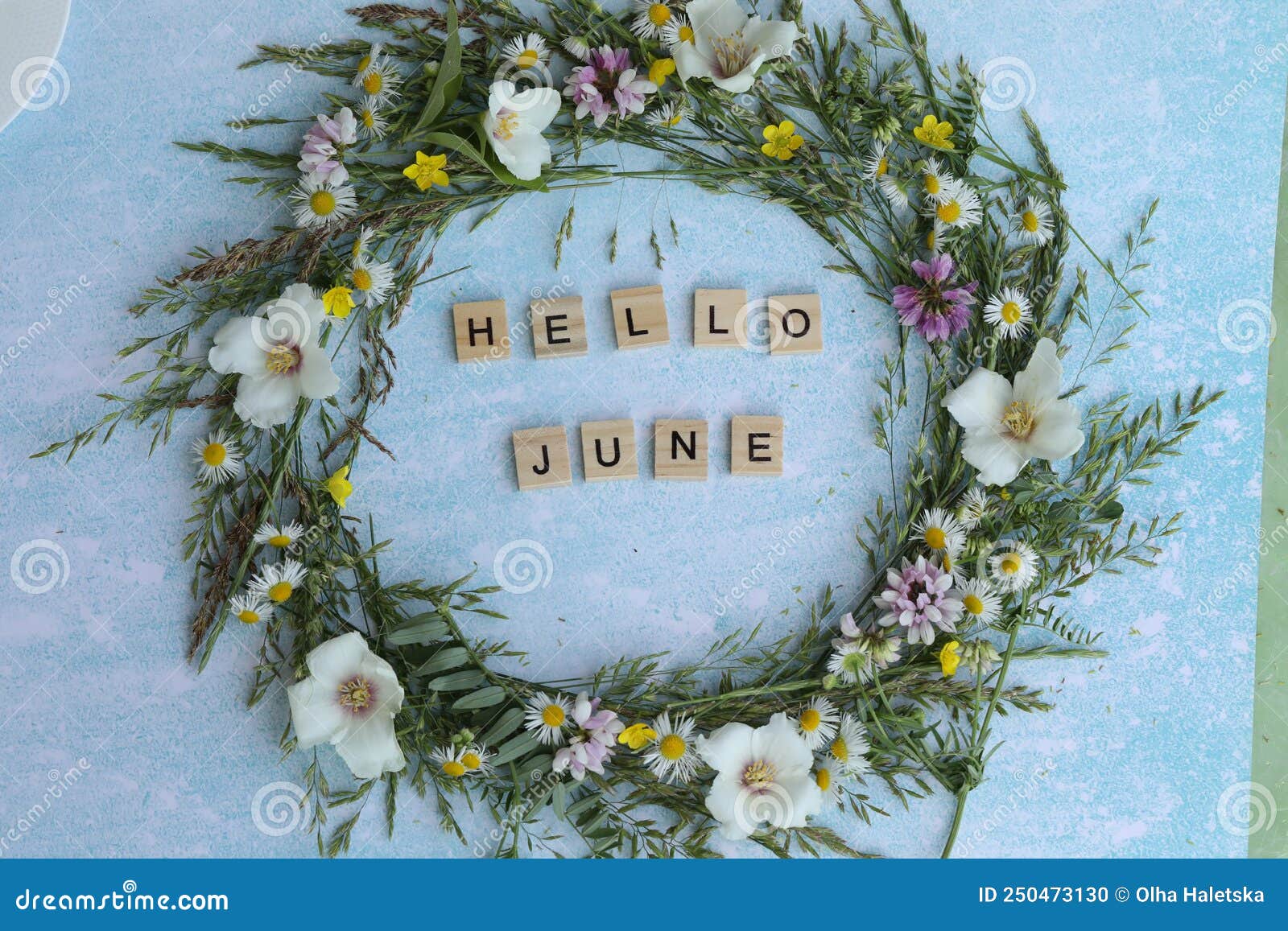 Blue Background with Flowers Frame and Text. Hello June Stock Photo ...