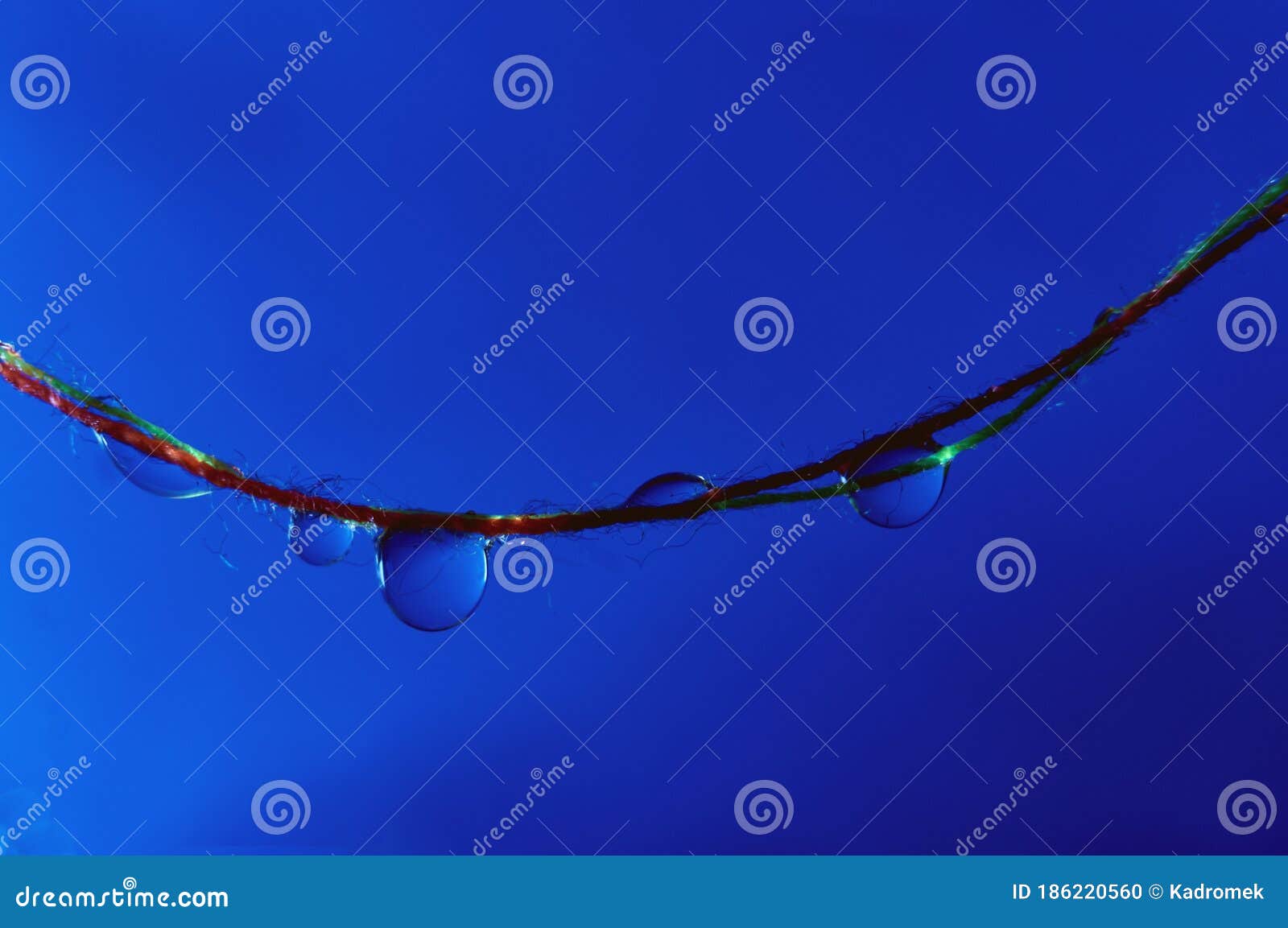 Drops of Water Drying on a String Stock Photo - Image of water ...