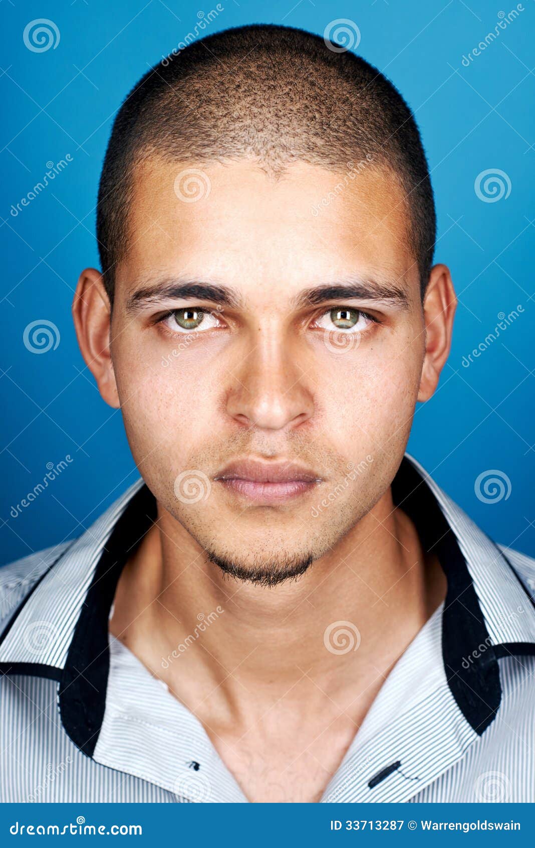 Blue Background Man Portrait Stock Image - Image of adult, masculine ...