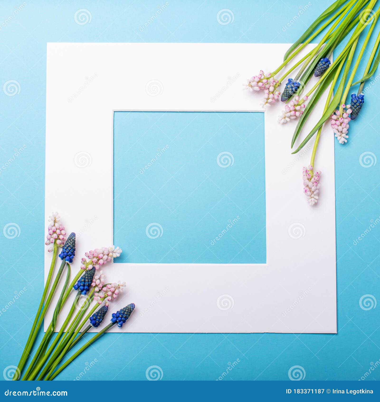 Blue Background for a Postcard with Flowers. Stock Image - Image of ...