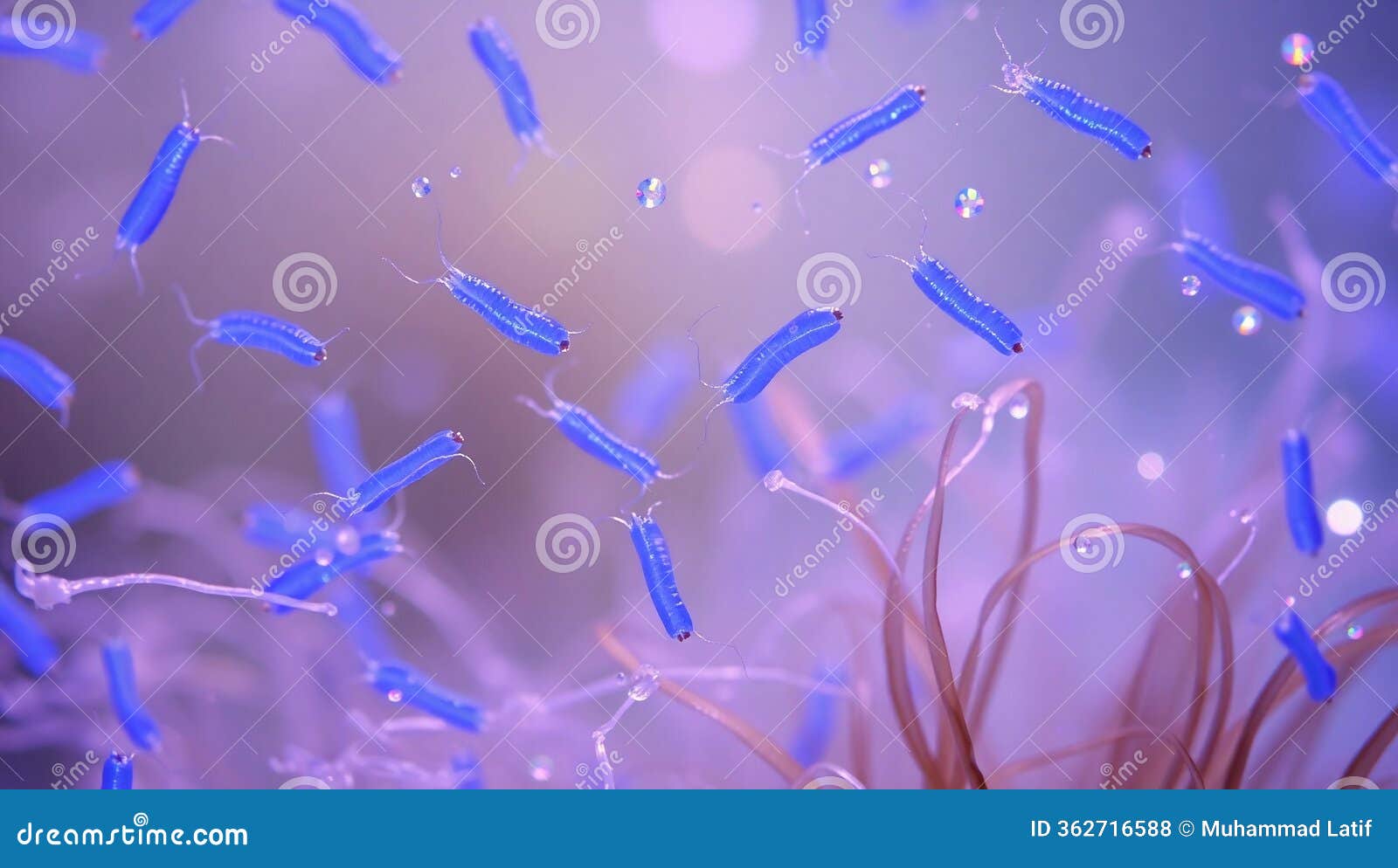 Swimming Bacteria E. Coli Biomedical Illustration | CartoonDealer.com ...