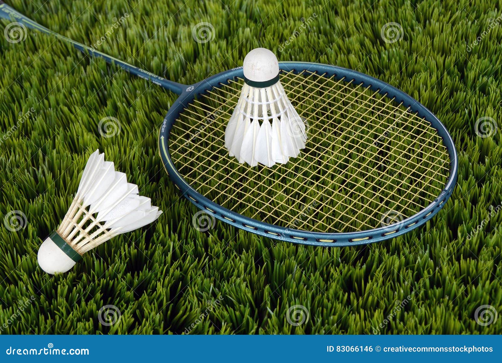 Blue Badminton Racket With Shuttlecock Picture. Image: 83066146