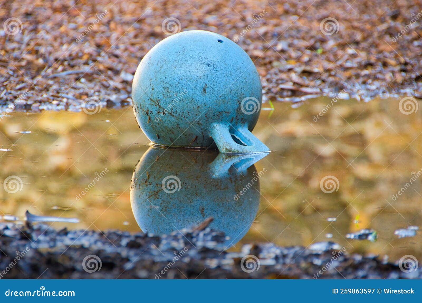 Blue Ball Reflected in a Muddy Water Pond with Fallen Leaves in the ...