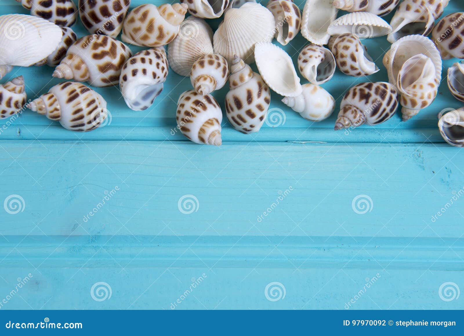 Blue Beach Background Image with Small Pretty Shells Stock Photo ...