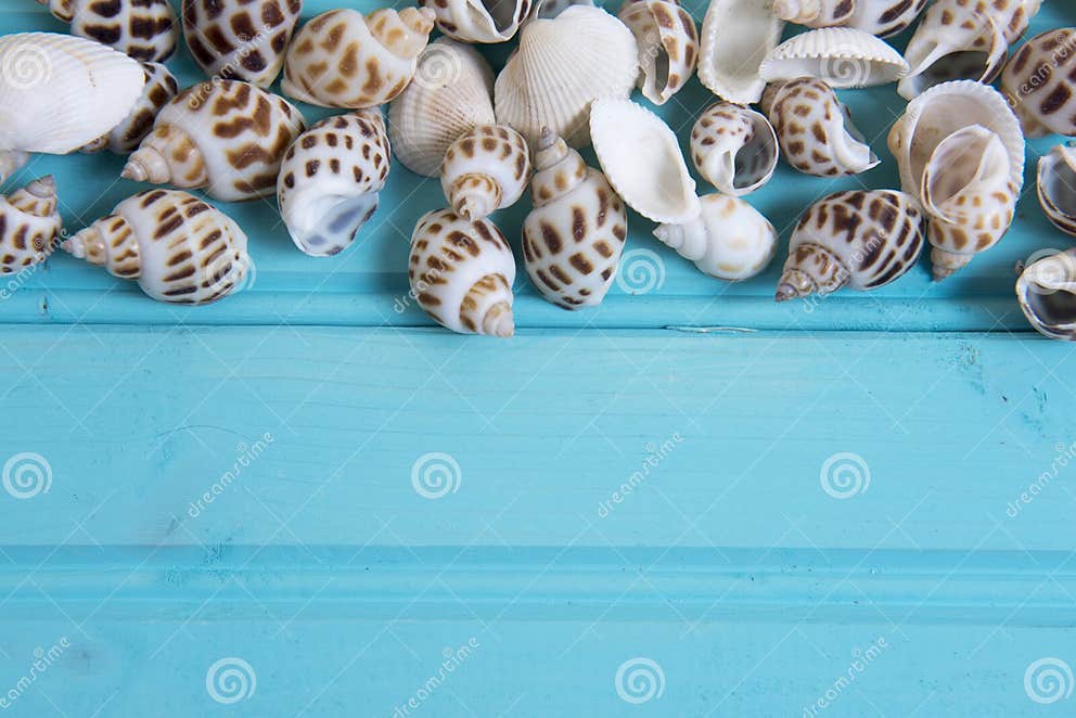 Blue Beach Background Image with Small Pretty Shells Stock Photo ...