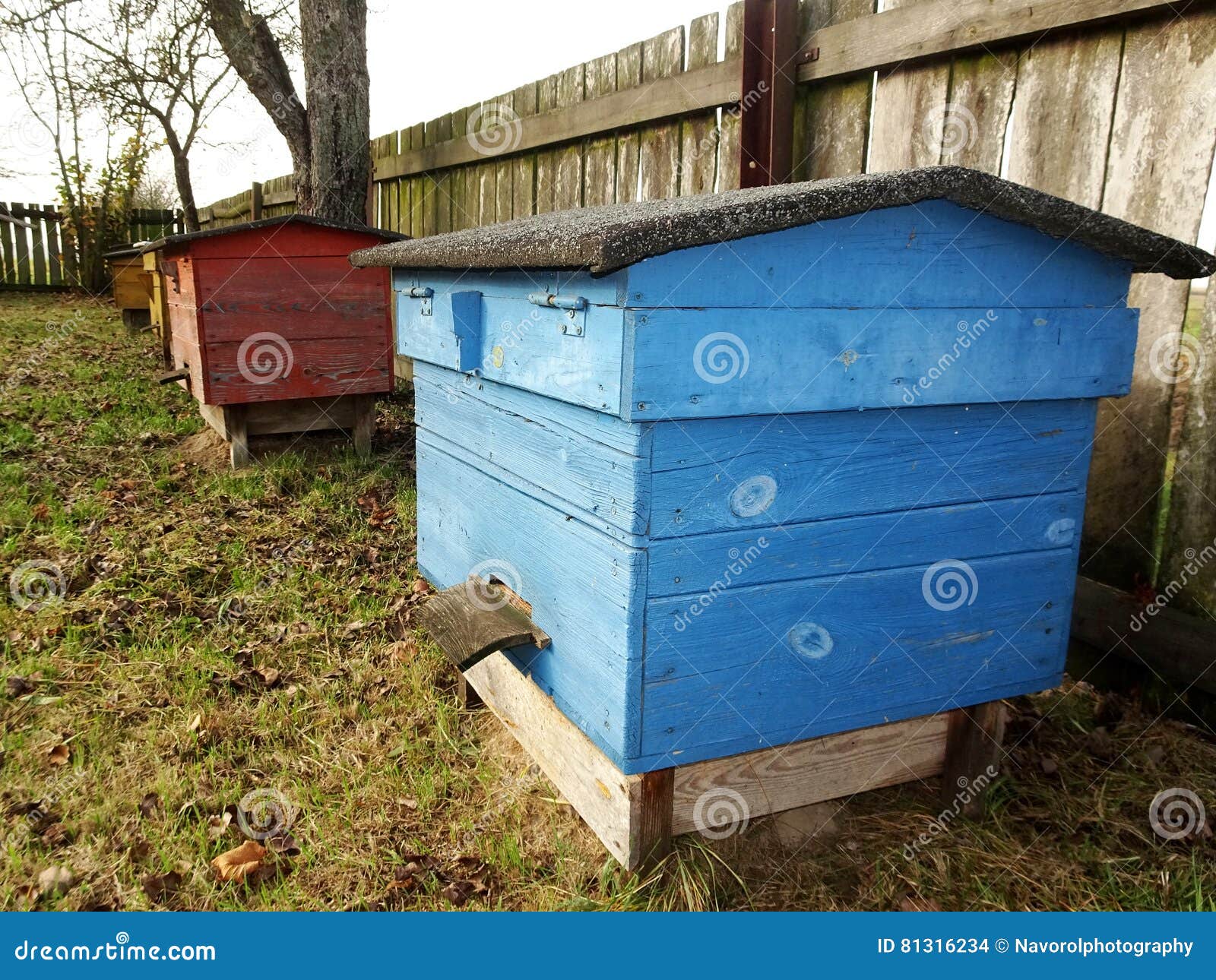 Blue Bee Hive stock photo. Image of life, swarm, blue - 81316234