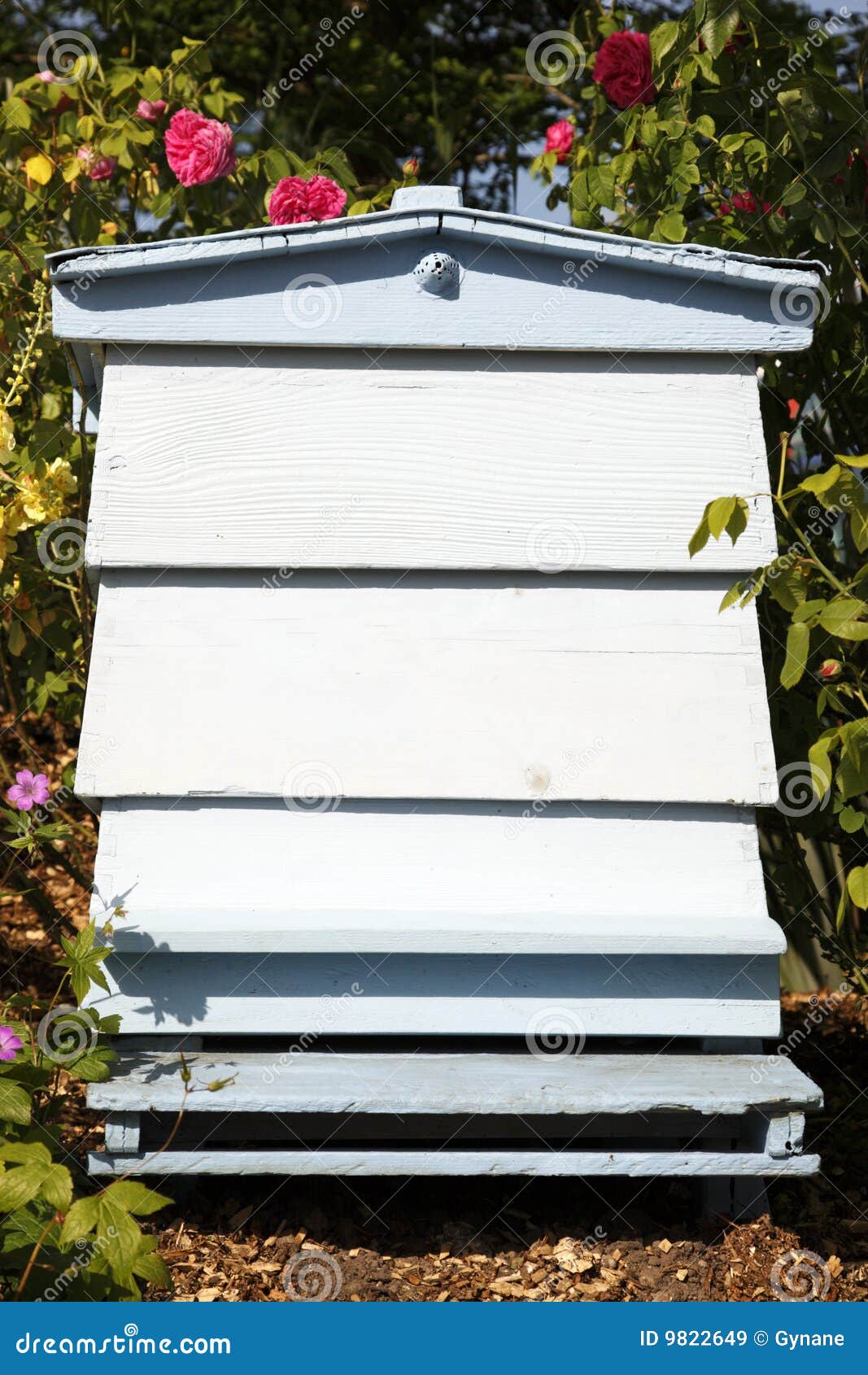 Blue beehive stock image. Image of beekeeping, modern - 9822649