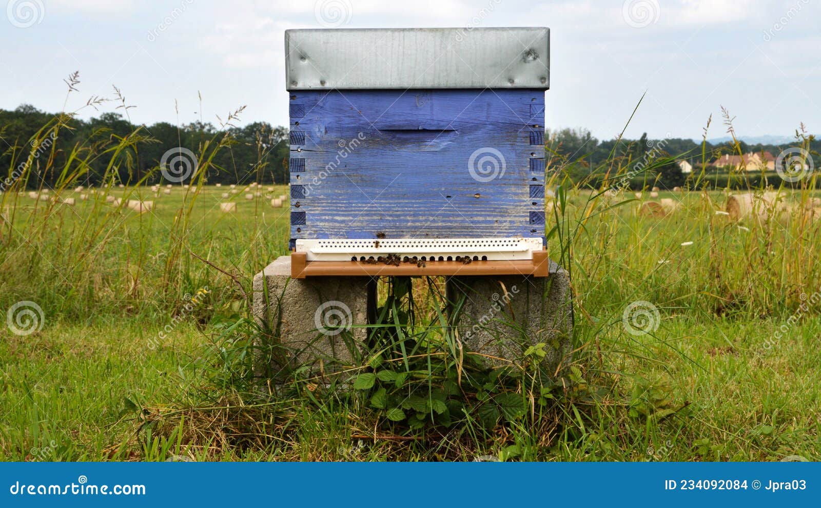 Blue Beehive in the Countryside Stock Photo - Image of field ...