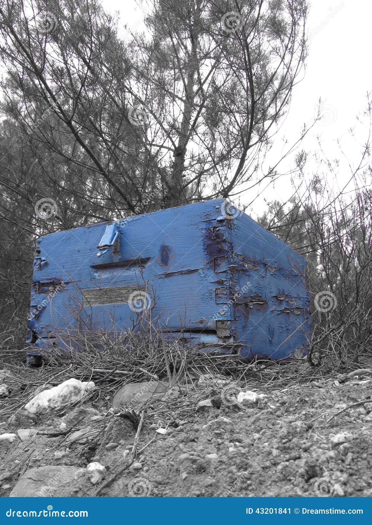 Blue beehive stock image. Image of beehive, left, forest - 43201841