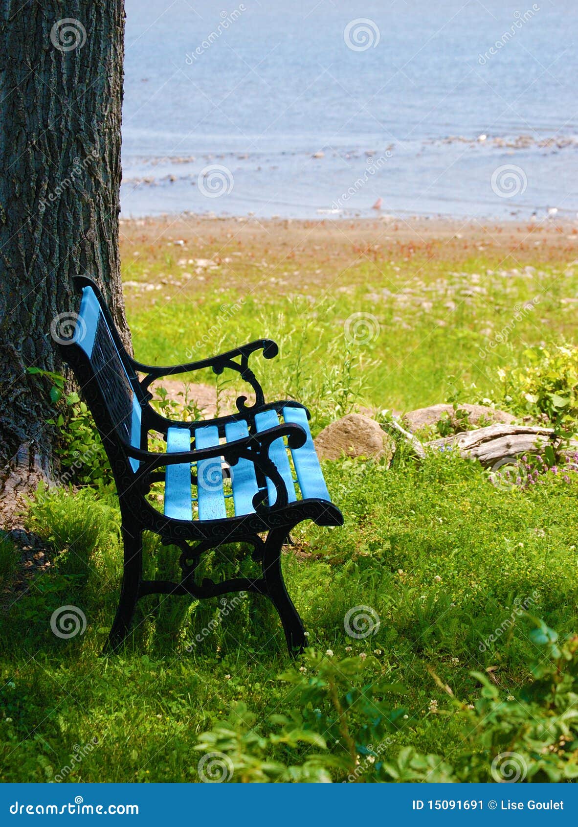 The Blue Bench stock image. Image of restful, classic - 15091691