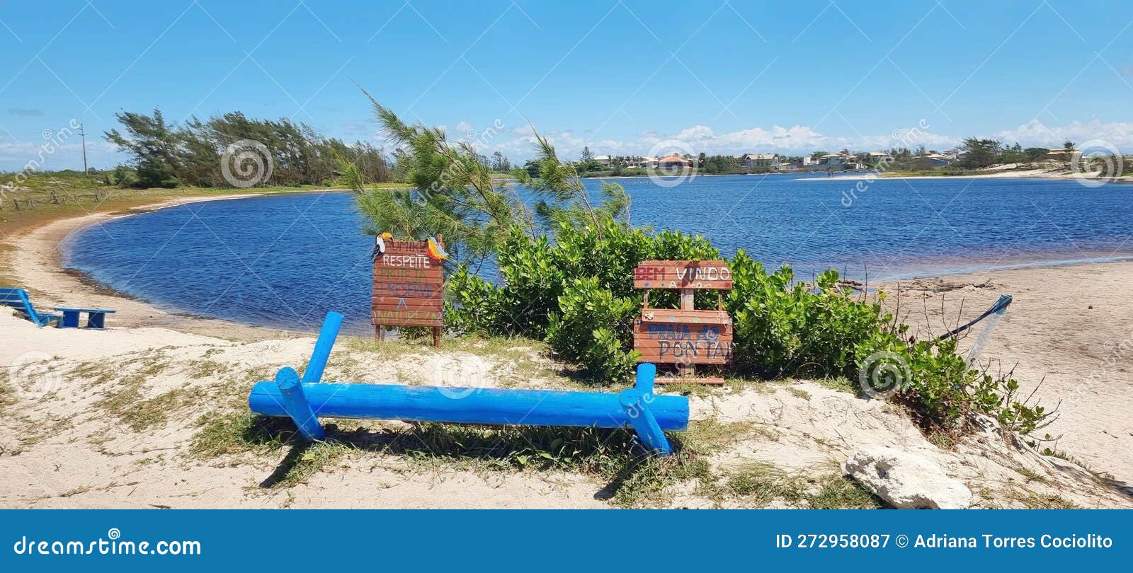 A Blue Bench In Front Of A Beautiful Blue Lake Surrounded By Lots Of ...