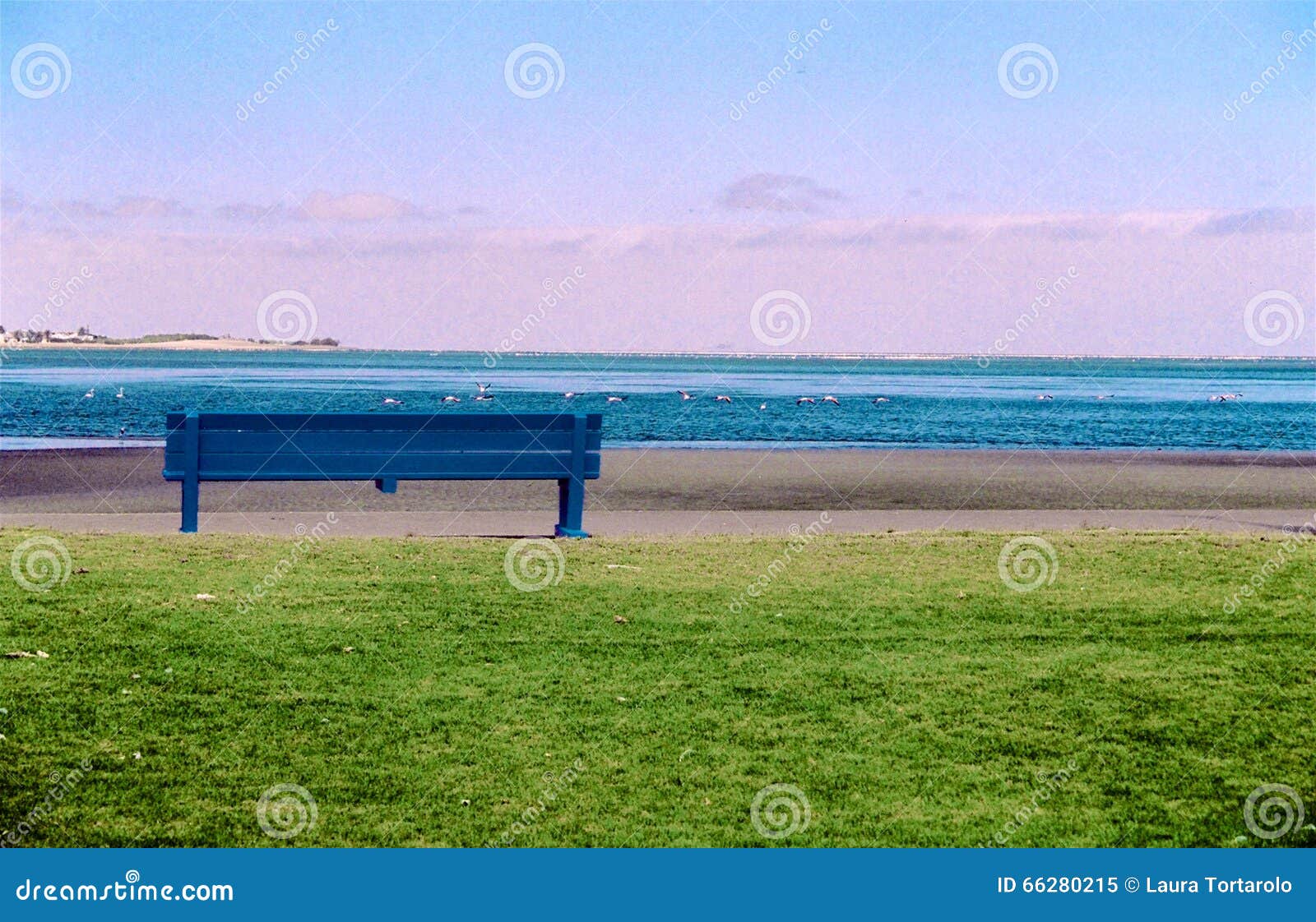 A blue bench stock image. Image of outdoor, outside, bench - 66280215