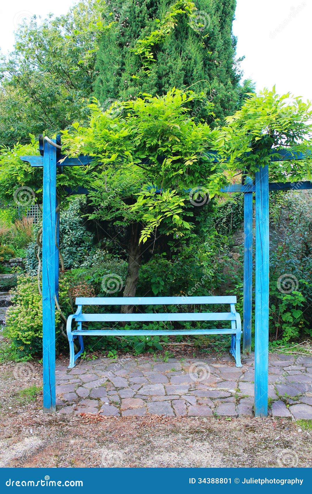 A blue bench stock image. Image of relax, nature, natural - 34388801