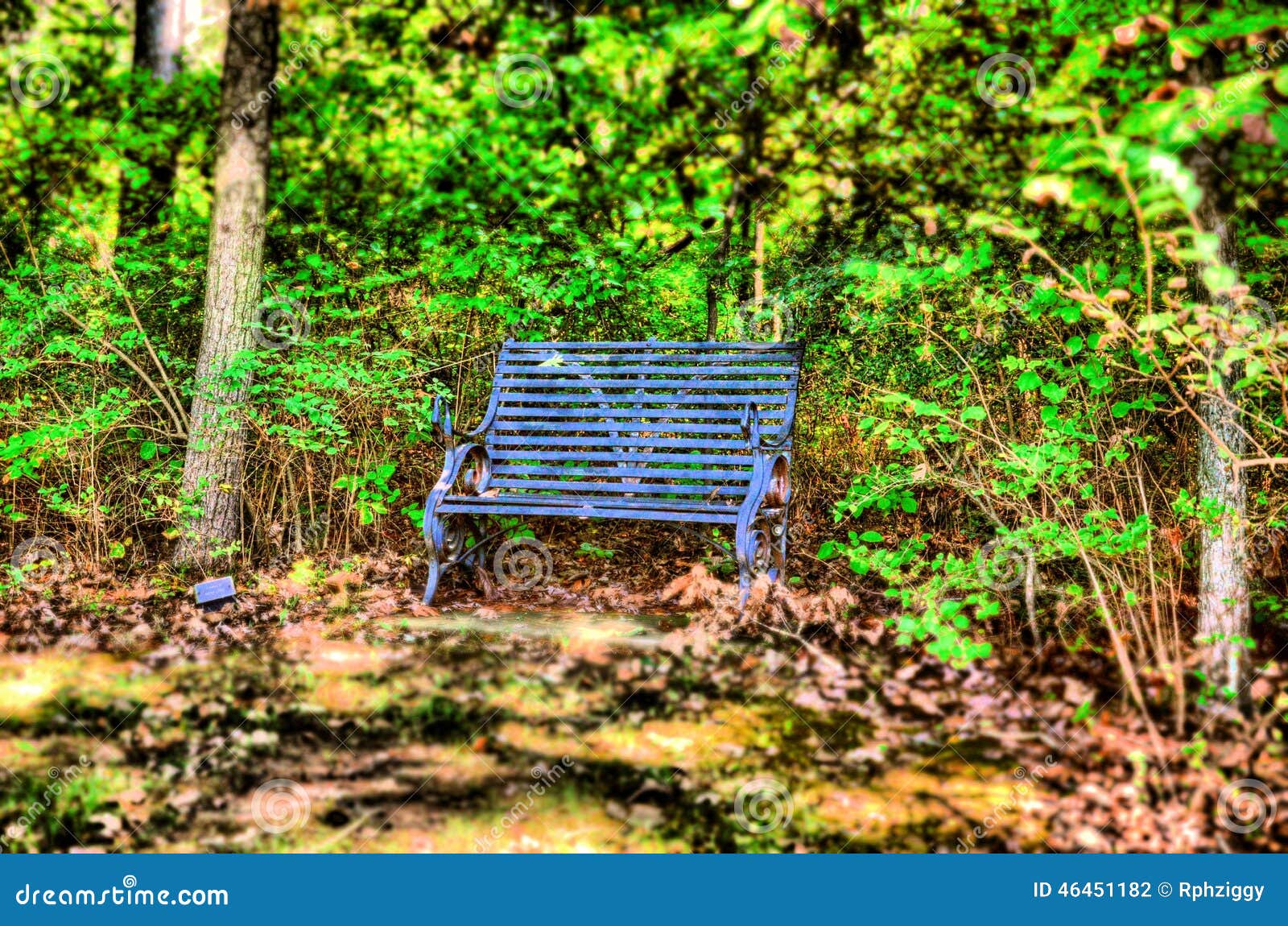 Blue bench stock photo. Image of weathered, green, bench - 46451182