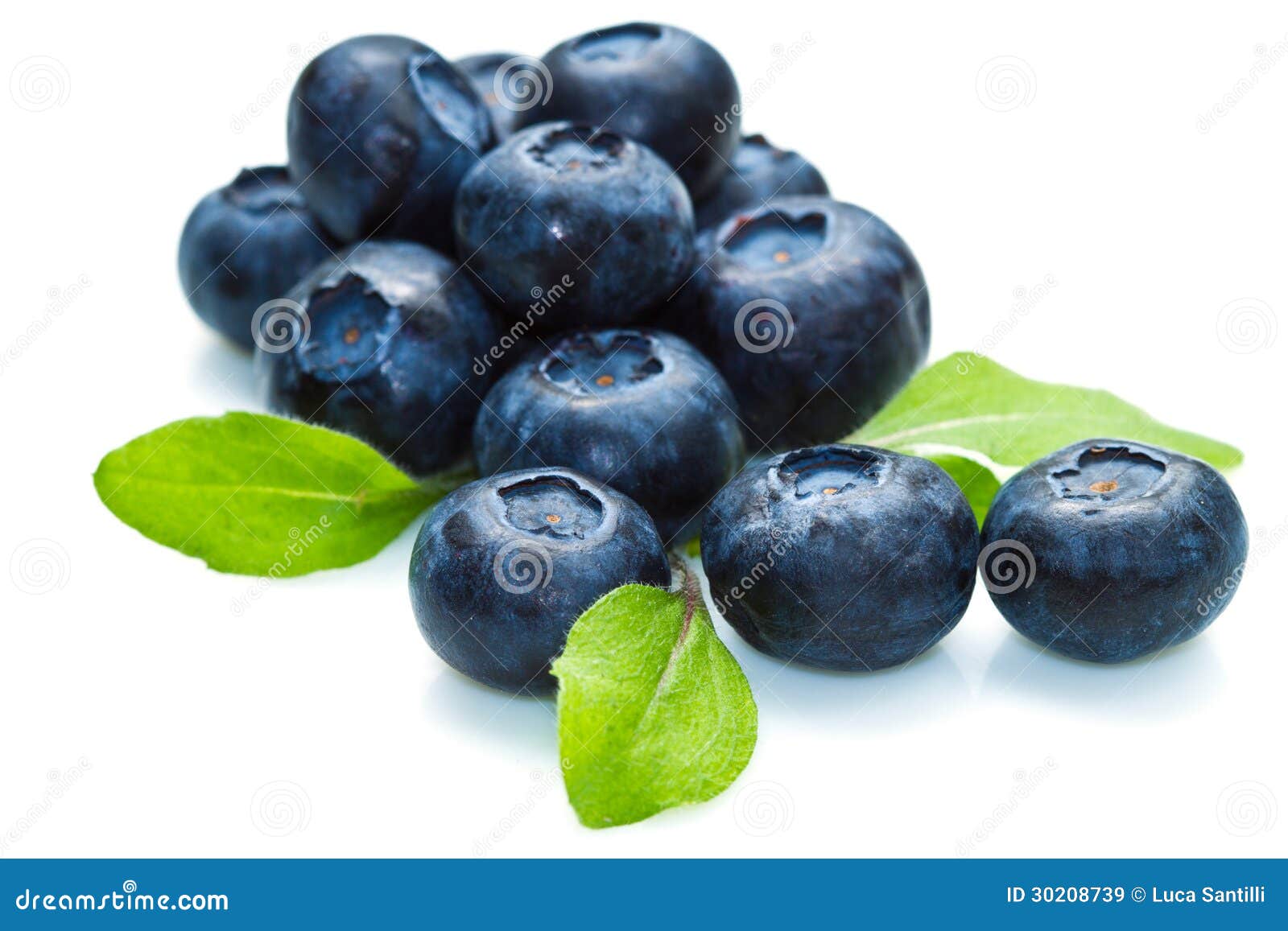 Blue berry stock image. Image of juicy, sweet, leaf, blue - 30208739