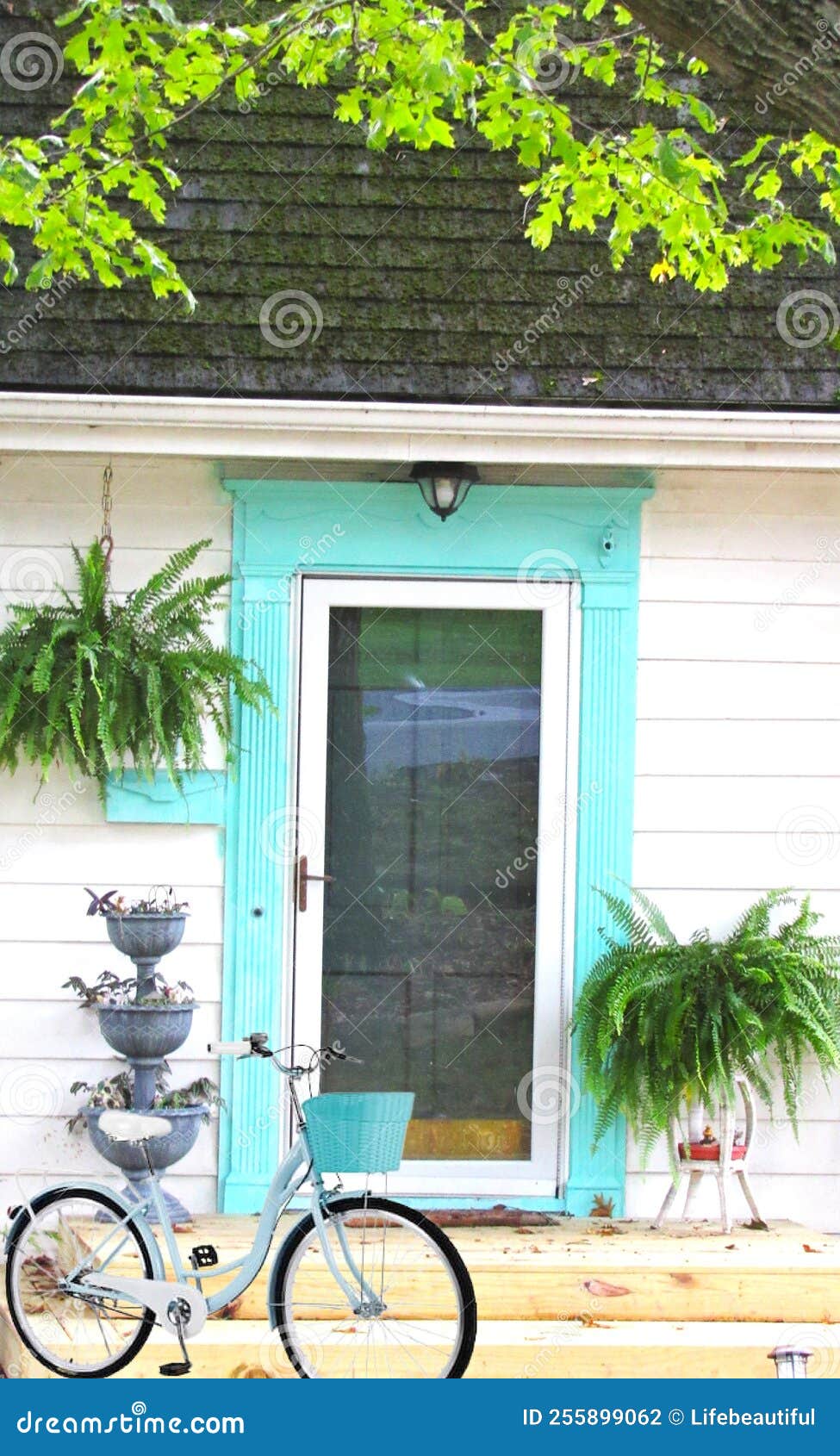 Blue bike stock photo. Image of property, estate, plant - 255899062