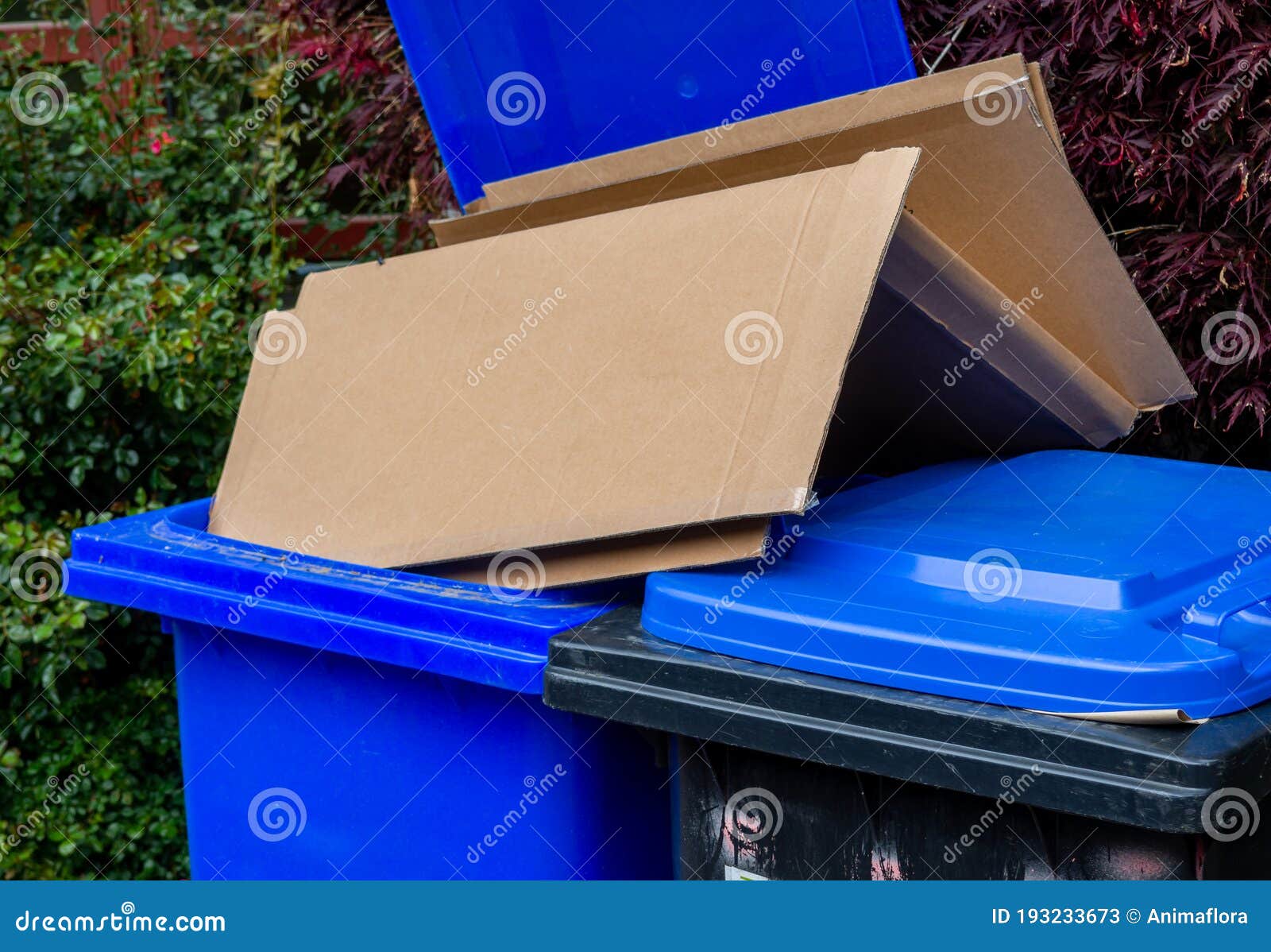 Blue bin with waste paper stock image. Image of germany - 193233673