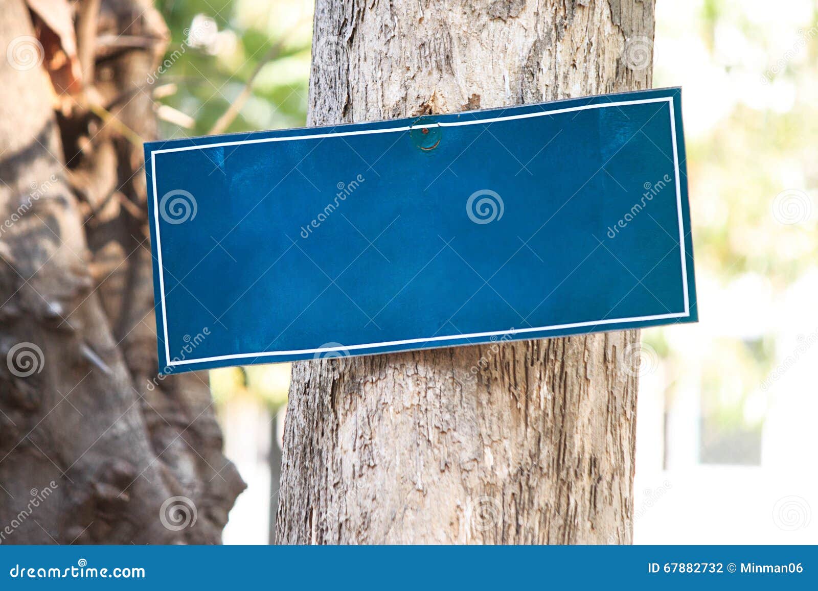 Blue Blank Sign Hang on Tree for Message Text Stock Photo - Image of ...