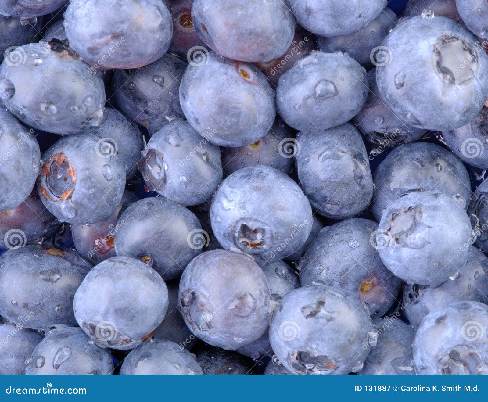 Blue Blueberries-Horizontal Stock Image - Image of backdrop, diet: 131887