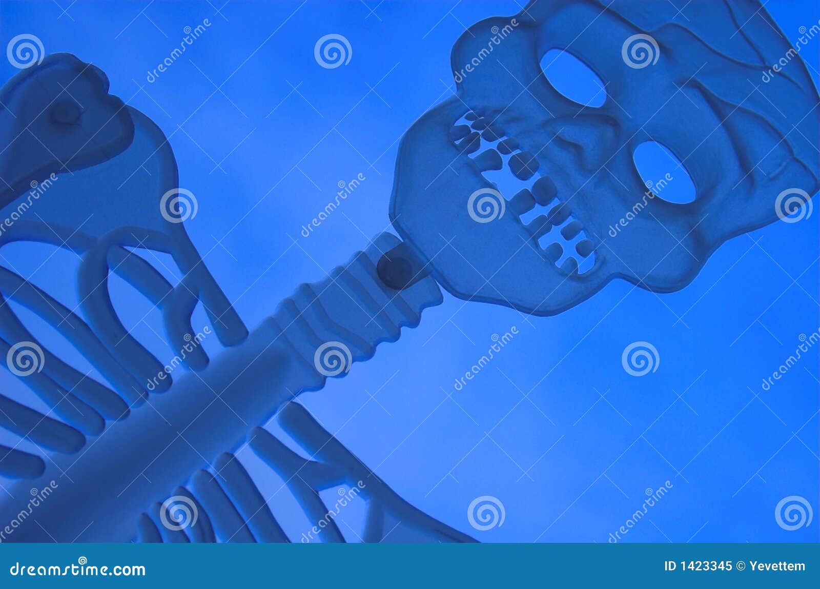 Blue Bones stock image. Image of abstract, female, person - 1423345