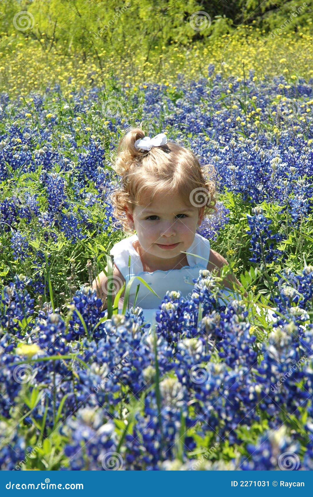 Blue Bonnet Portrait stock image. Image of female, hands - 2271031