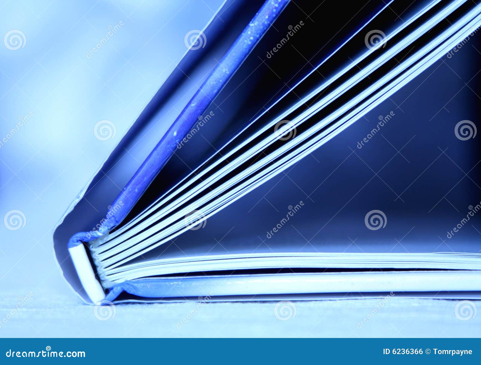 Blue Book Cover Stock Photo | CartoonDealer.com #22383906