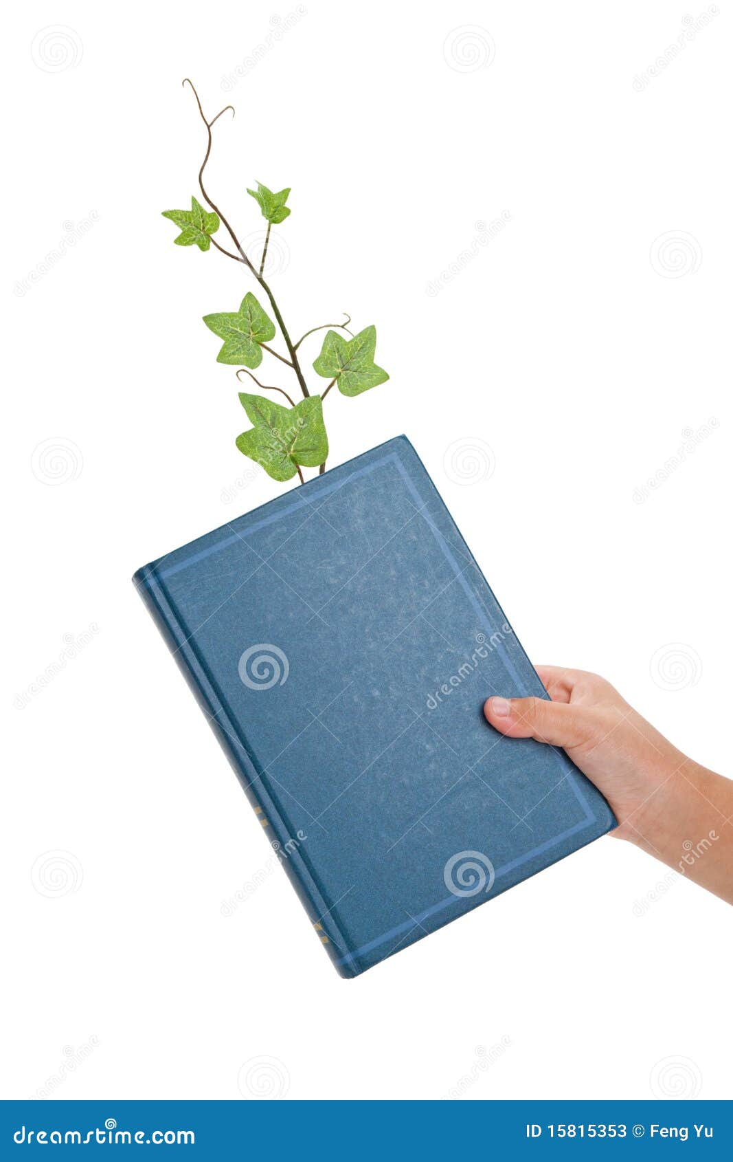 255 Book Sprout Photos - Free & Royalty-Free Stock Photos from Dreamstime