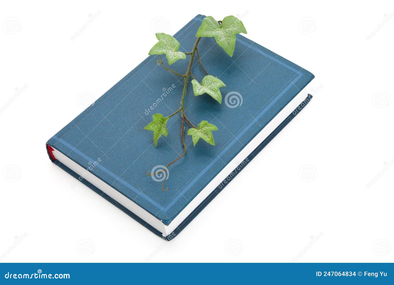 Blue book and Sprout stock photo. Image of seedling - 247064834