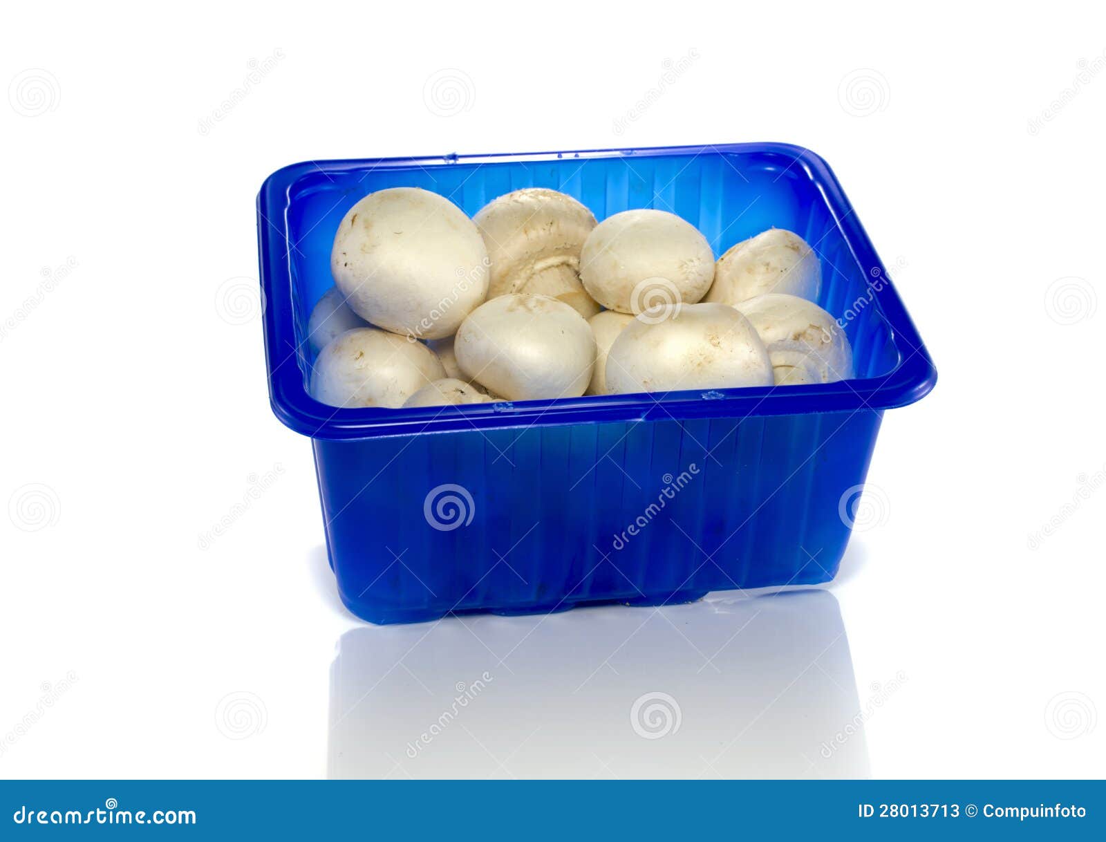Blue box with mushrooms stock image. Image of blue, fresh - 28013713