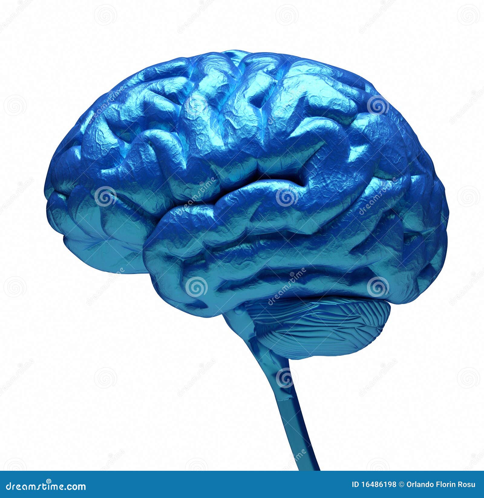 Blue brain stock illustration. Illustration of clip, sense - 16486198