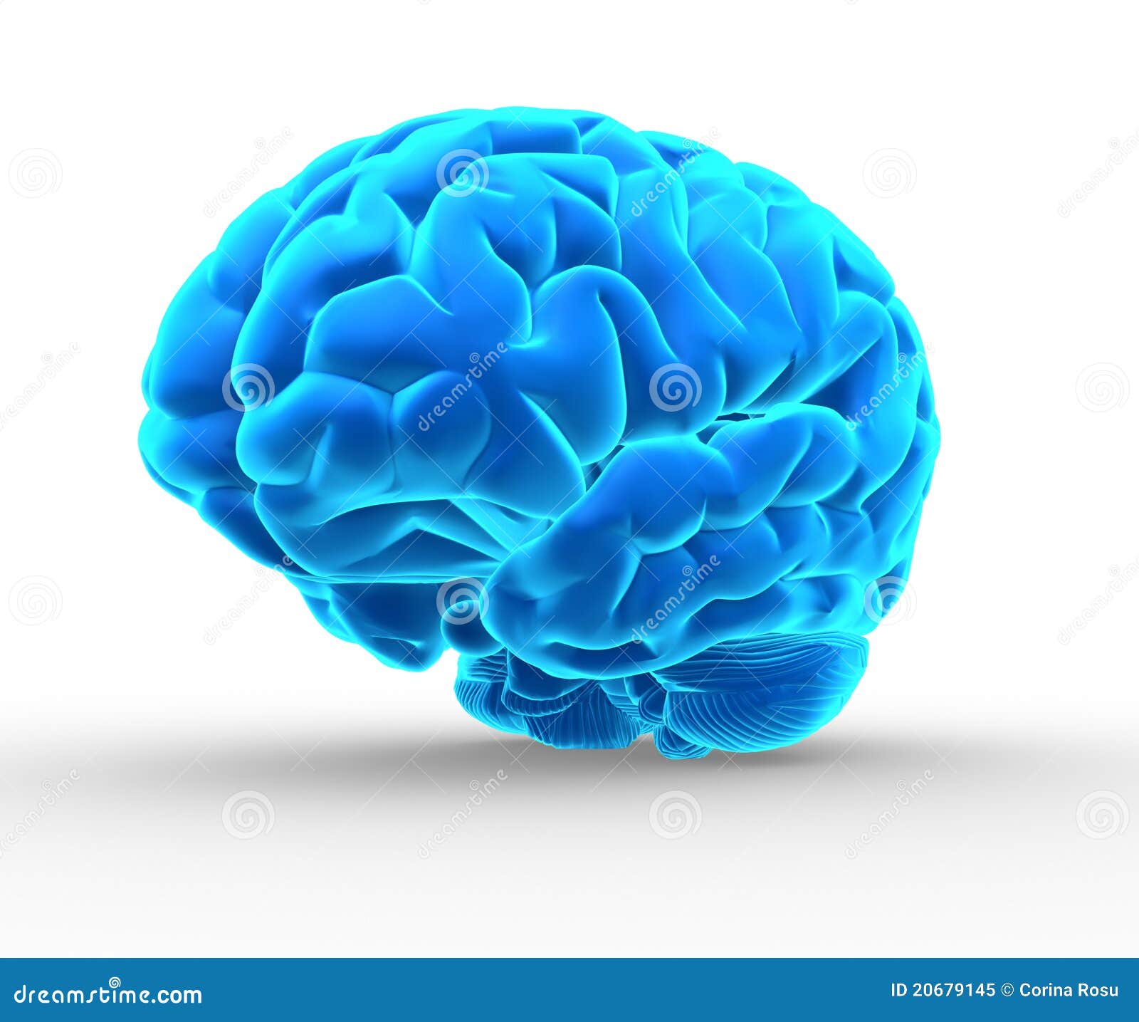 Blue brain stock illustration. Illustration of neurology - 20679145
