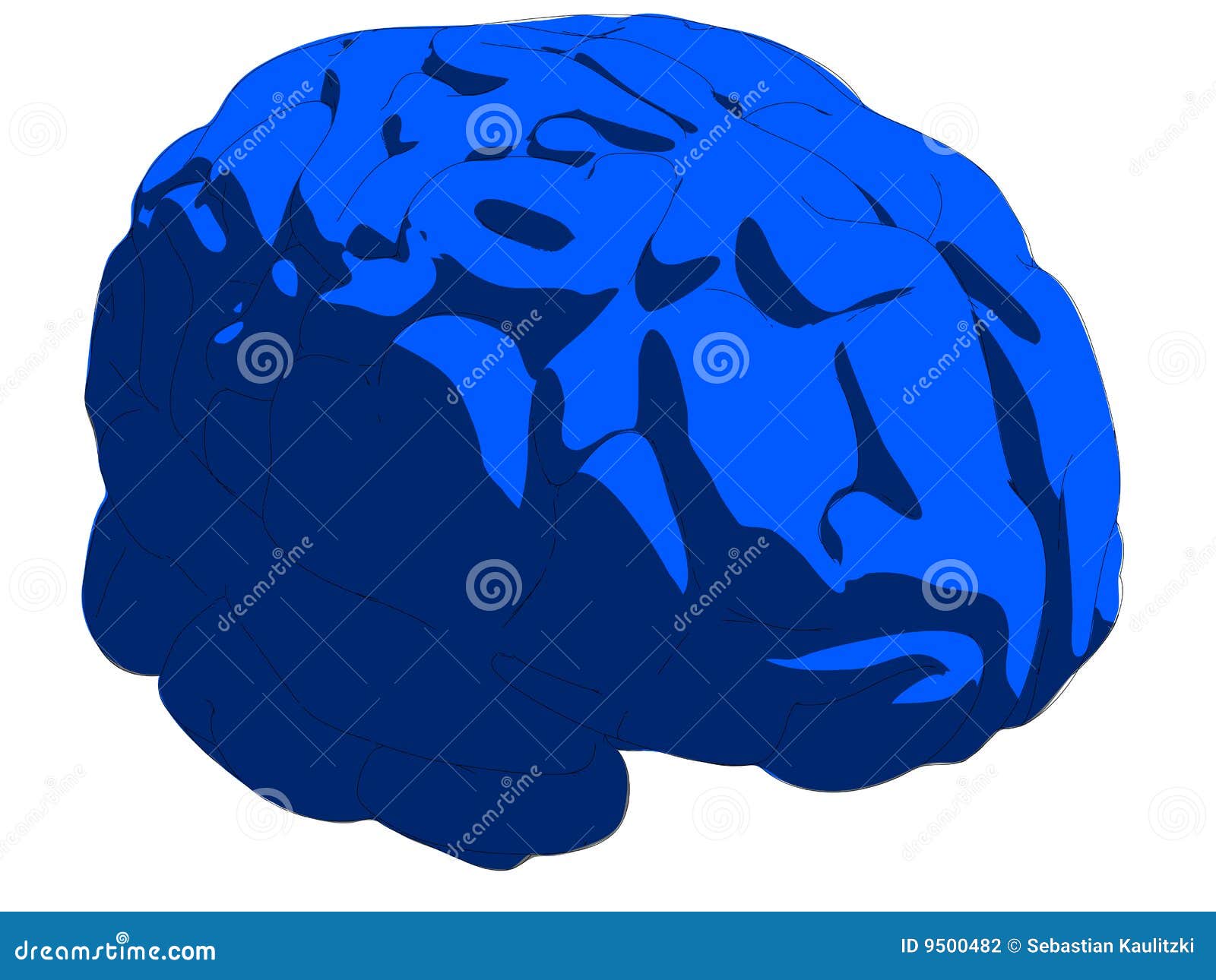 Blue brain stock vector. Illustration of head, brain, brainy - 9500482