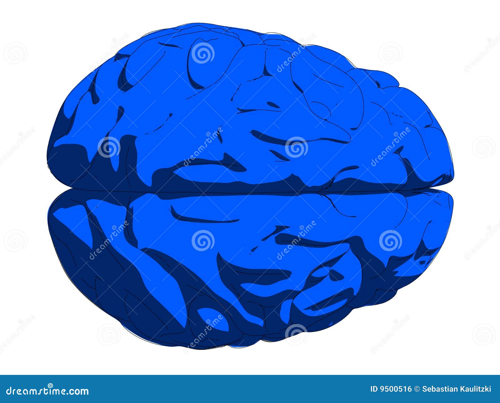 Blue brain stock vector. Illustration of scientific, intelligence - 9500516