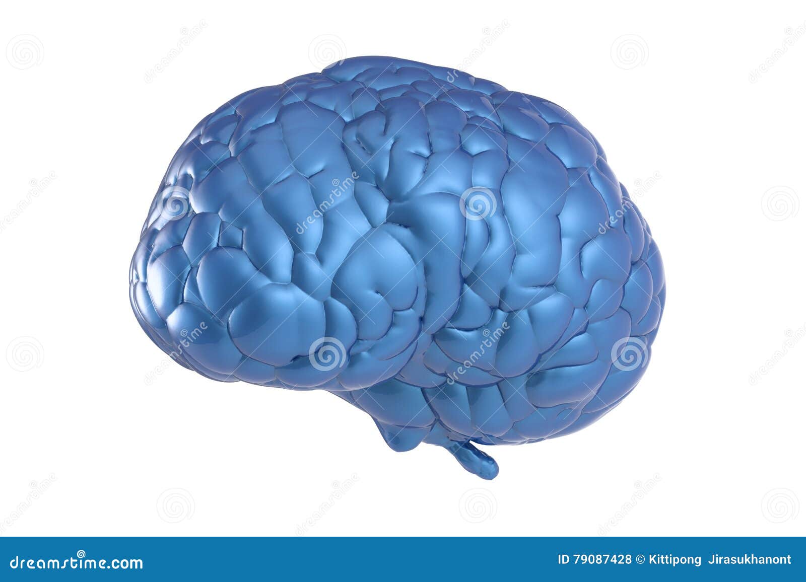 Blue brain stock illustration. Illustration of mind, brain - 79087428
