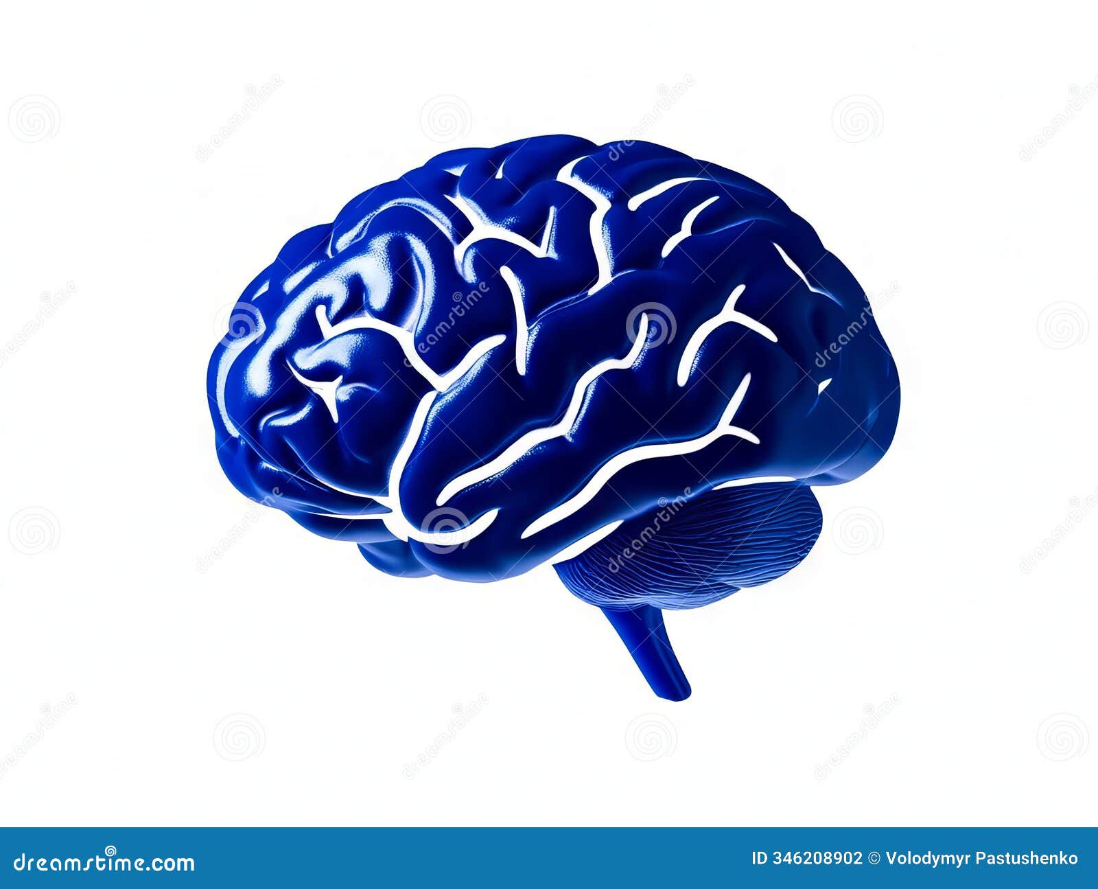 A Blue Brain on a White Background Stock Illustration - Illustration of ...