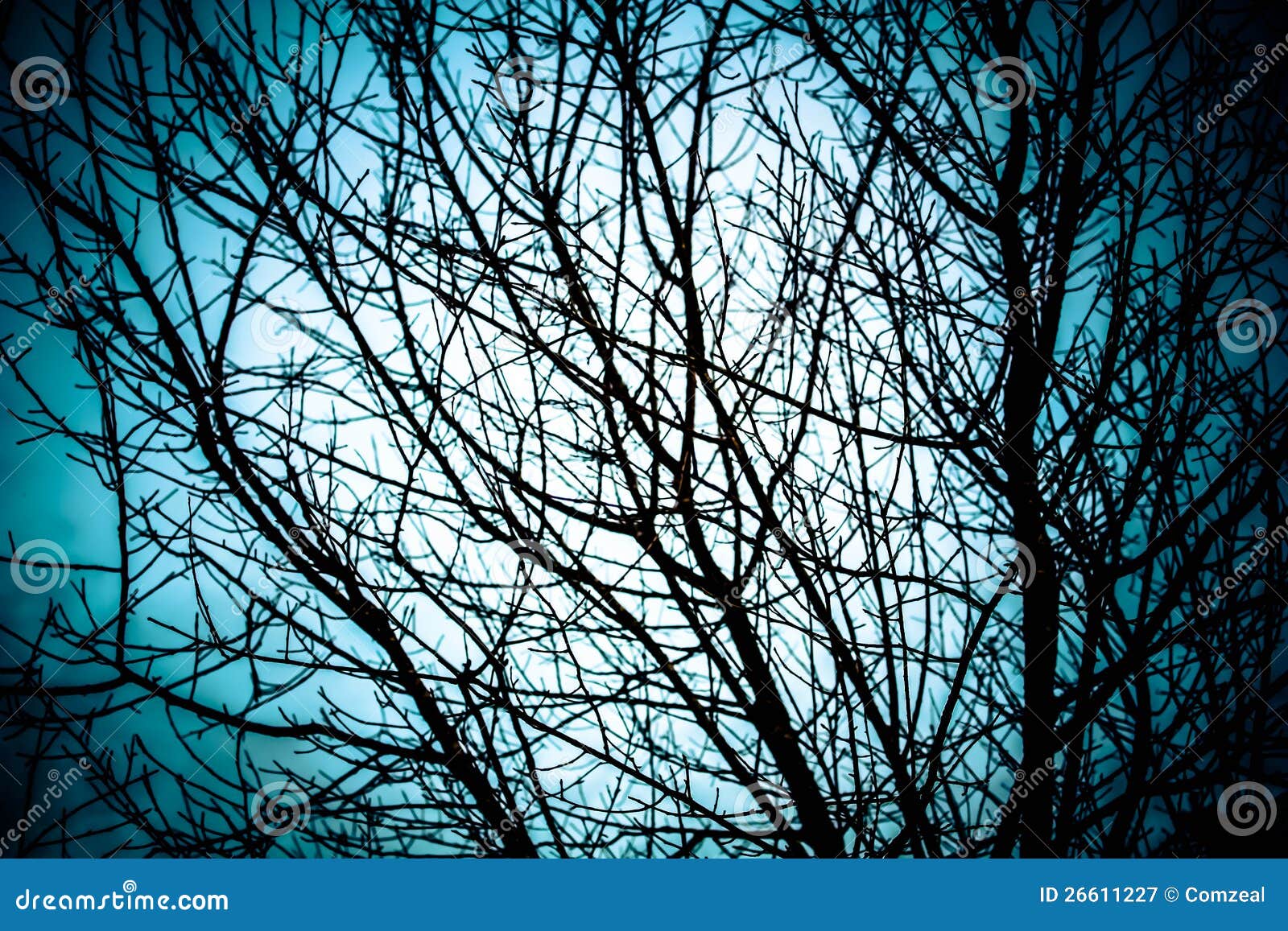 Blue branch background stock image. Image of abstract - 26611227