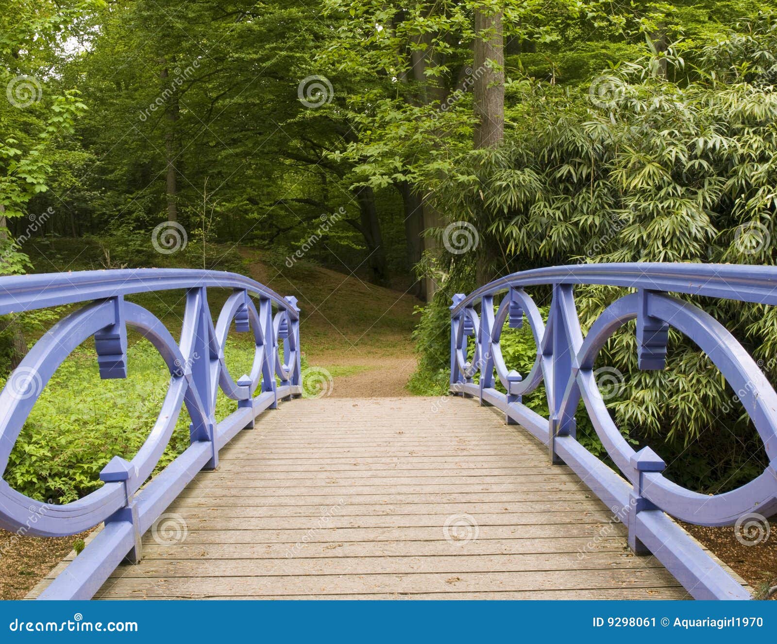The blue bridge stock image. Image of bridge, forest, woods - 9298061