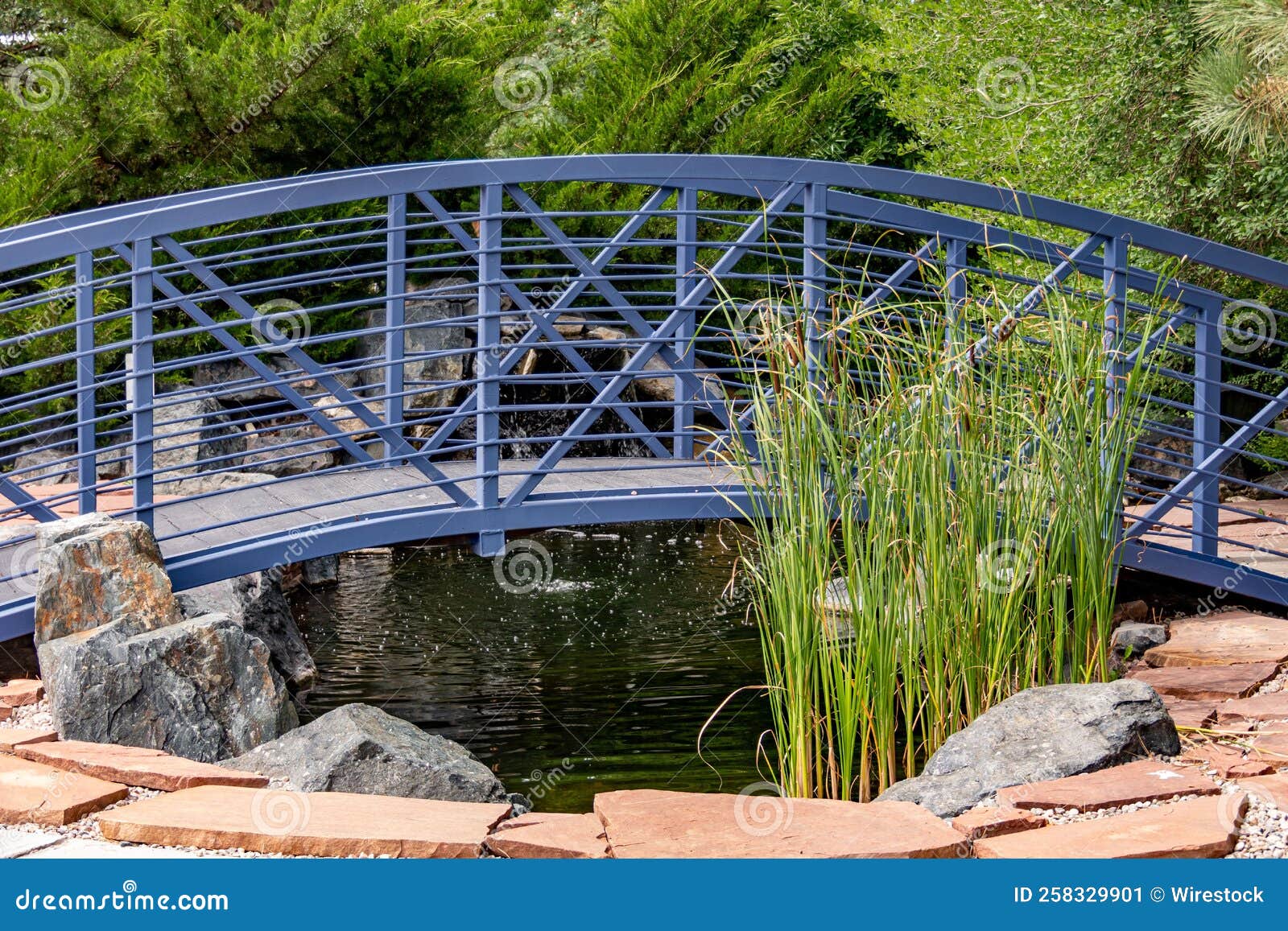 Blue Bridge Over a Pond in the Park. Stock Image - Image of park, pond ...