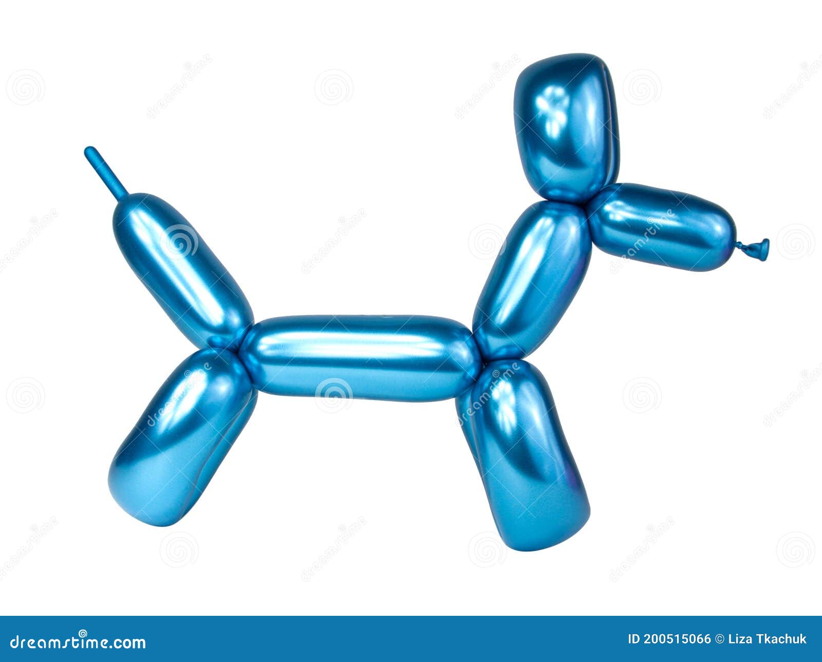 Blue Bright Balloon Dog Isolated on the White Stock Photo - Image of ...