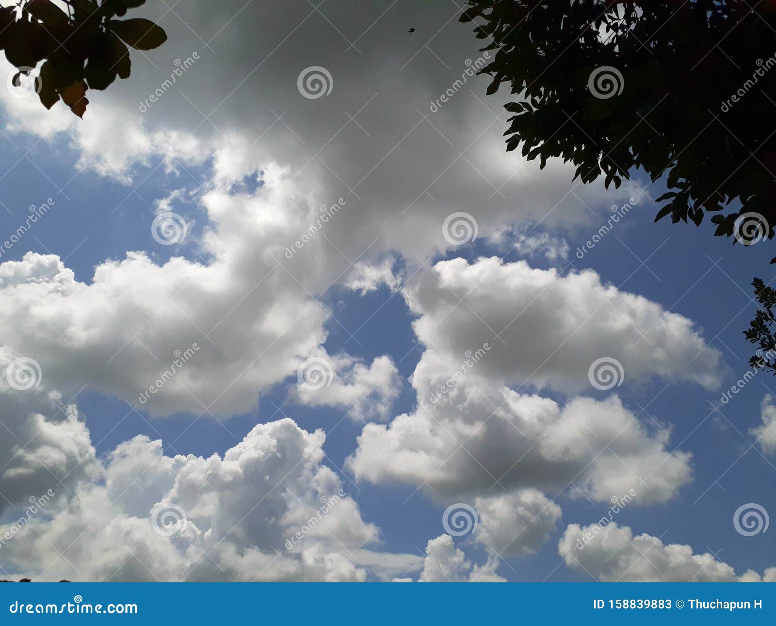 Blue Bright Sky Light on Daytime Stock Image - Image of light, bright ...
