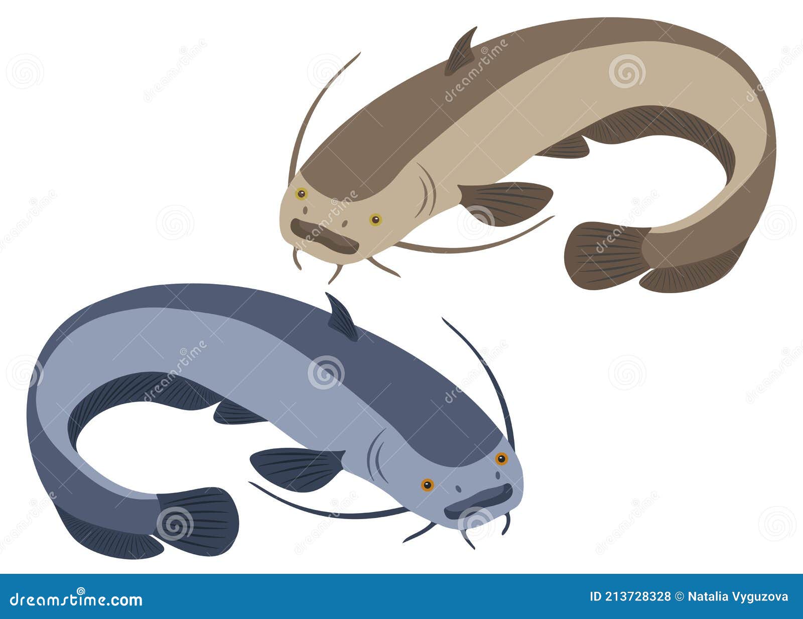 Blue Catfish Ictalurus Furcatus Jumping Up Cartoon Black And White ...