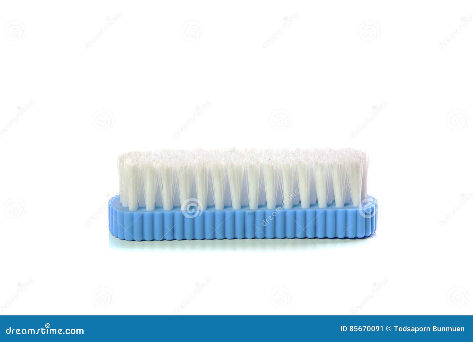 Blue Brush Isolated on White Background Stock Image - Image of white ...