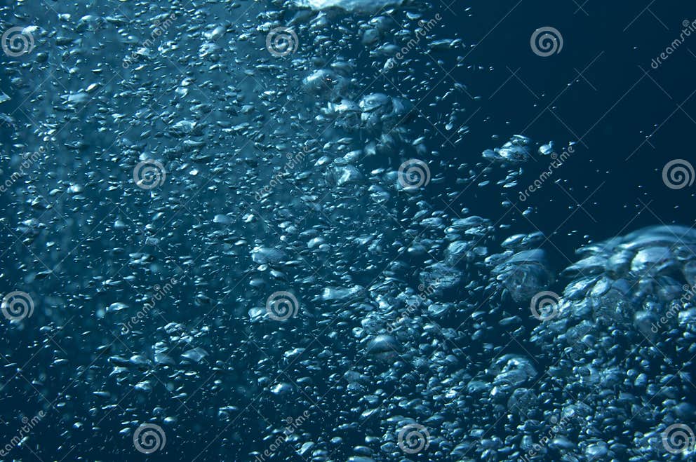 Blue bubbles stock photo. Image of dive, regulator, bottles - 16919994